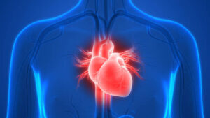 New Lipid Guidelines: What Changed and Why It Matters | Synergy ...